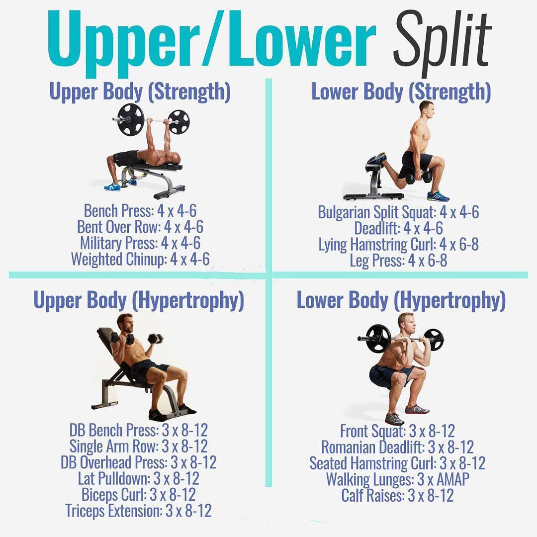 8 Powerful Muscle Building Gym Training Splits Fitness Workouts Exercises