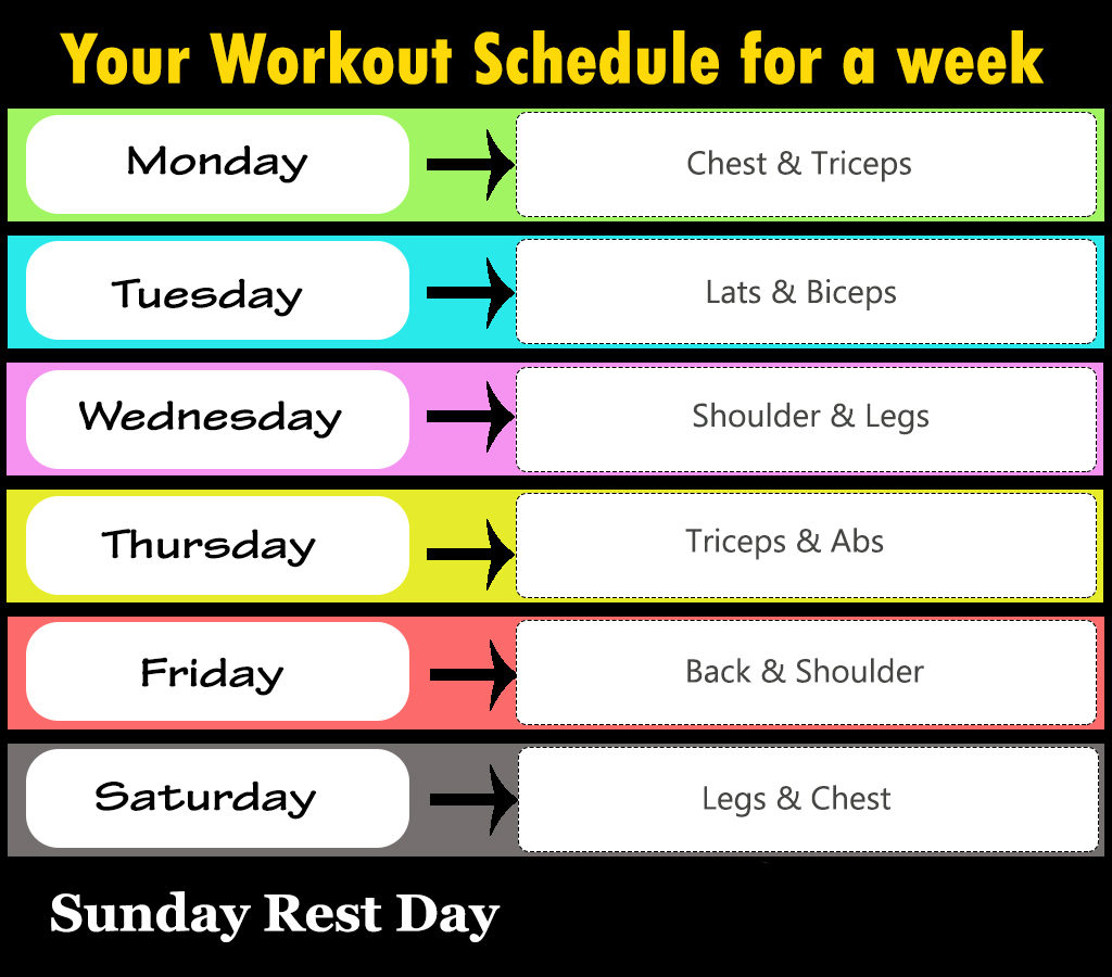 Full Week GYM Workout Plan Fitness Workouts Exercises