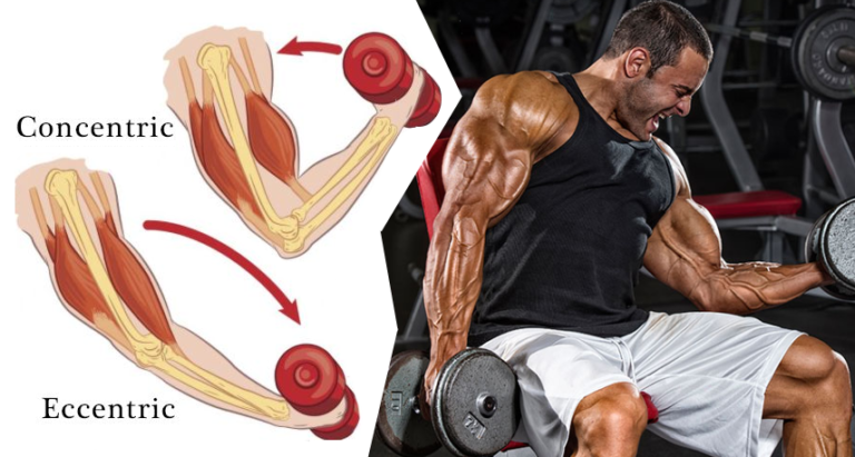 Eccentric vs. Concentric: Which Way Is Better for Building Mass? | Fitness Workouts & Exercises